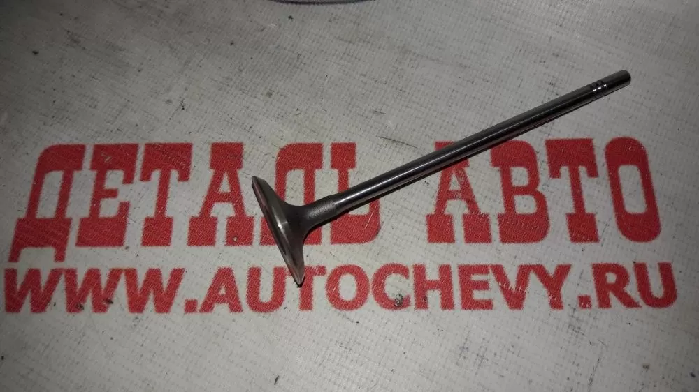 Клапан впускной Авео f14d4 Круз f16d4 (GM: 55557862) в Екатеринбурге ...